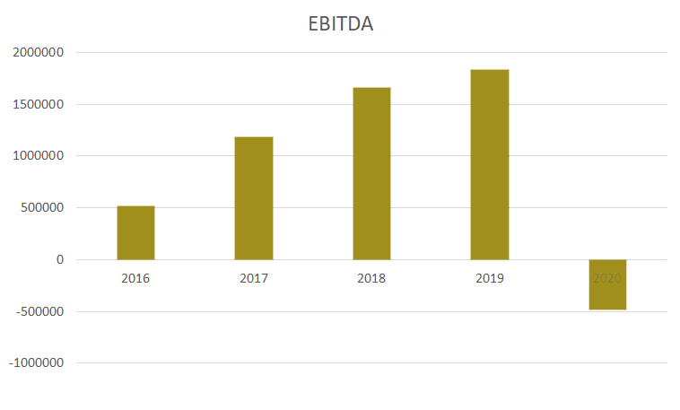 Annual Report 2020 – Palma Pictures